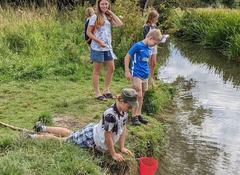 Chalk Stream Challenge | Hampshire and Isle of Wight Wildlife Trust